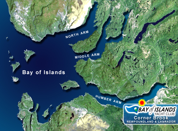 index [www.boiyc.com]